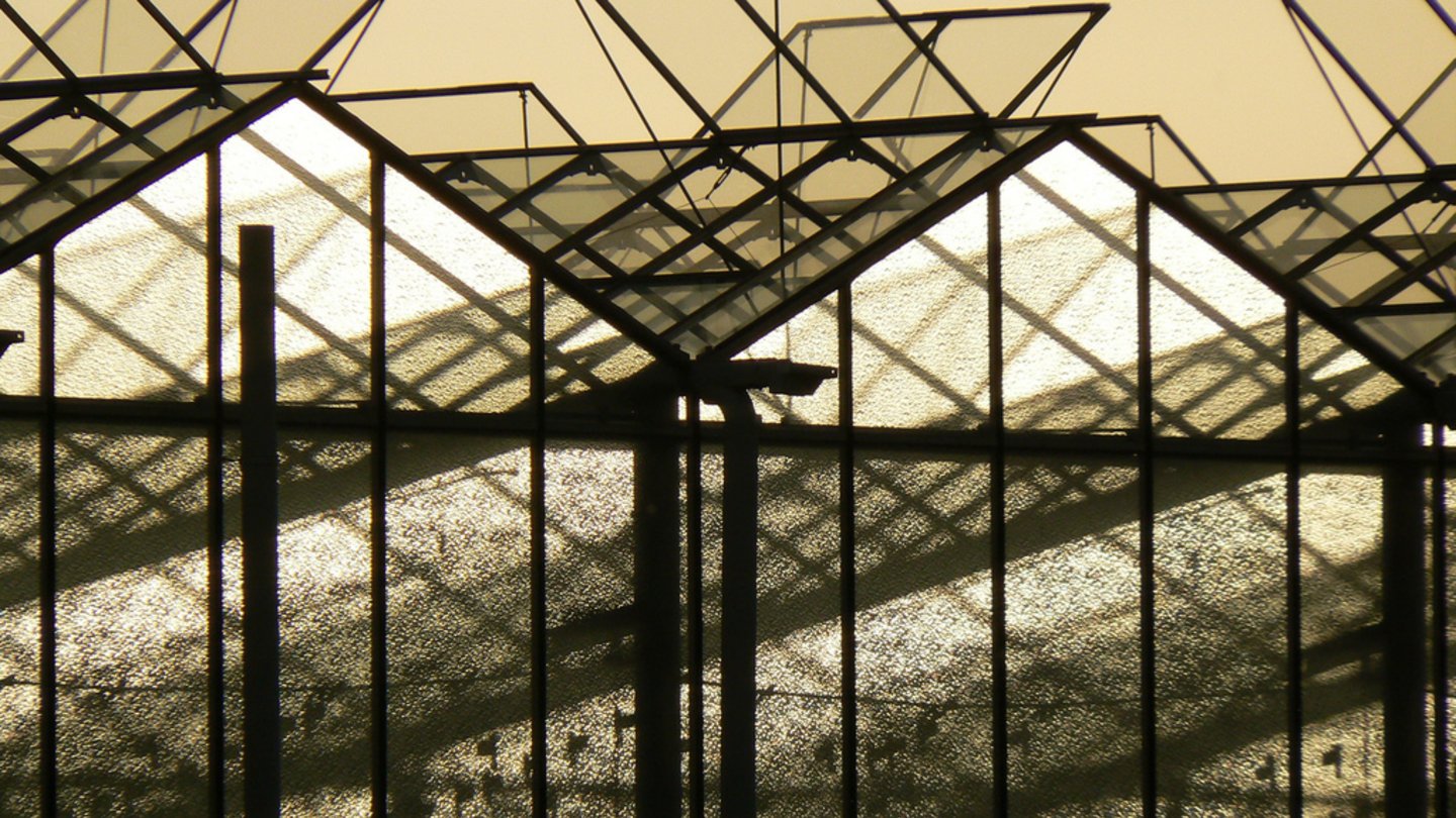 Welt der Physik: Wie funktioniert ein Treibhaus?