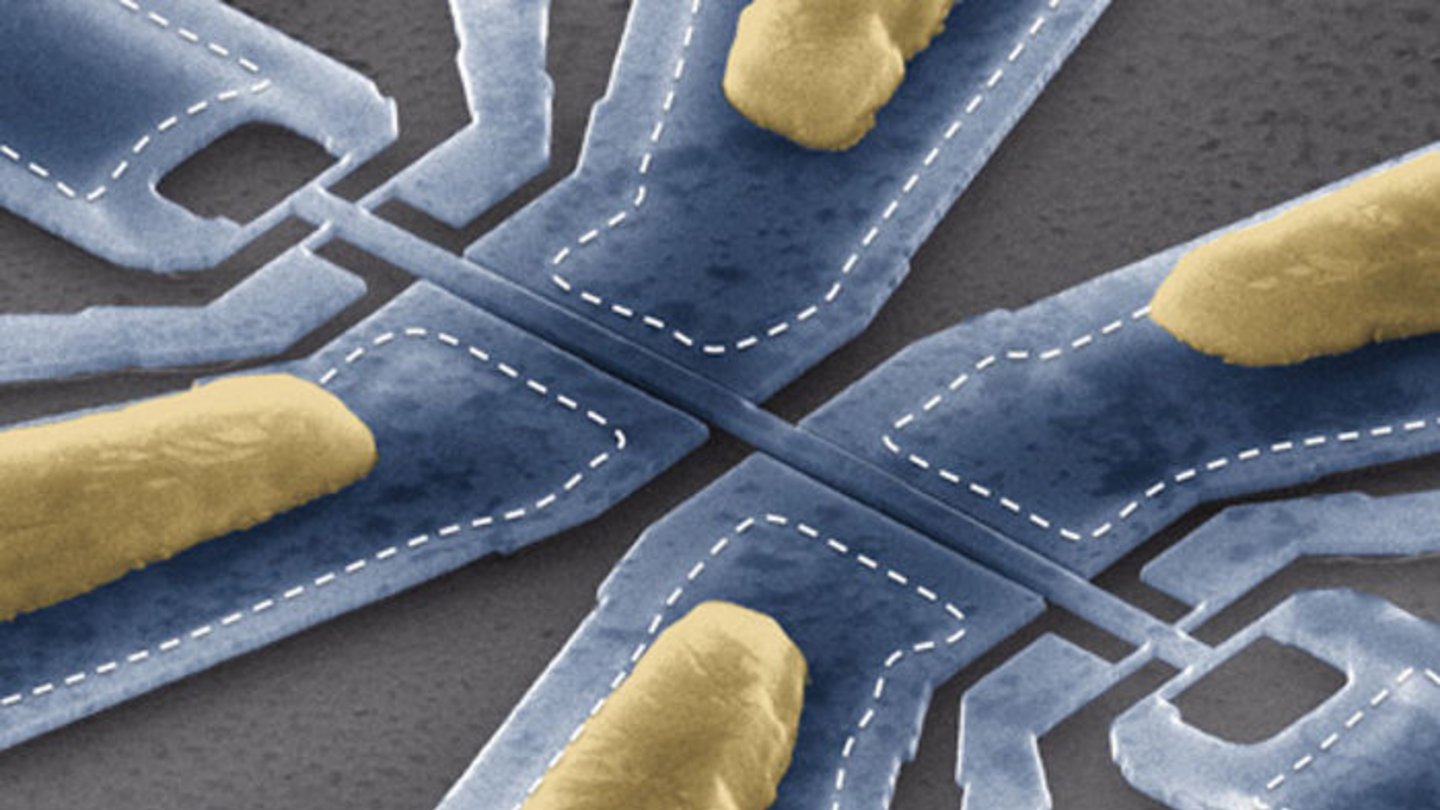 Welt der Physik: Waage für einzelne Biomoleküle