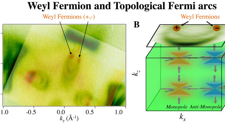 Welt der Physik: Weyl-Fermion mehrfach nachgewiesen