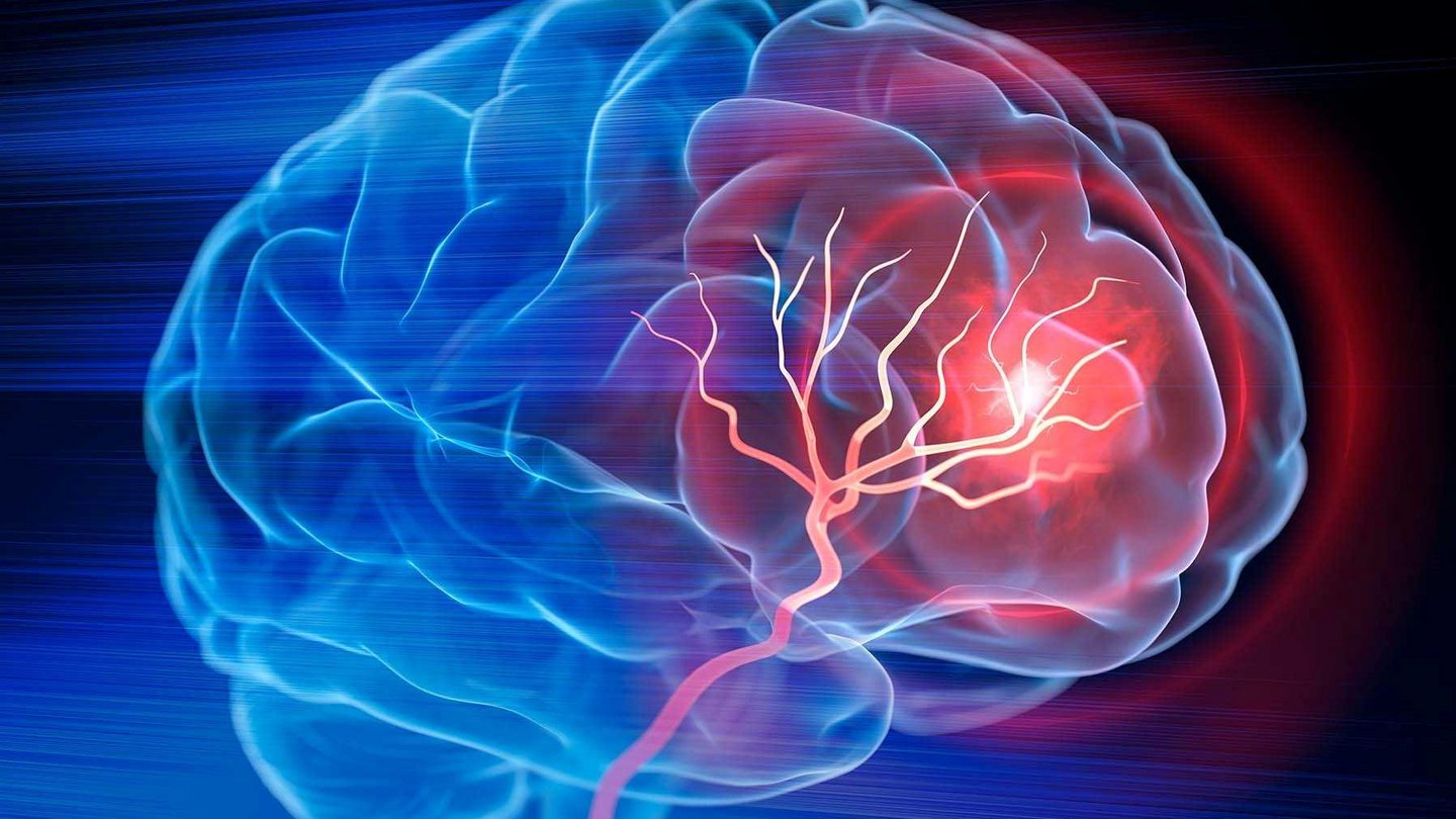 Welt der Physik: „Blutgefäße haben ein Erinnerungsvermögen“