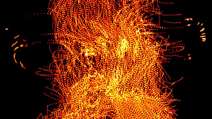 Welt der Physik: Im Schwarm verschwenden Tauben Energie